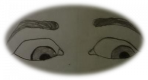 Types of ocular movements - Optography