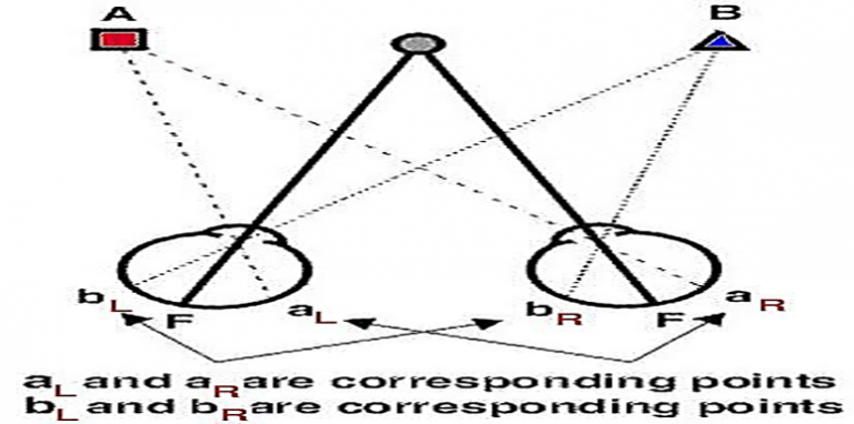 ARC (ABNORMAL RETINAL CORRESPONDENCE) - Optography
