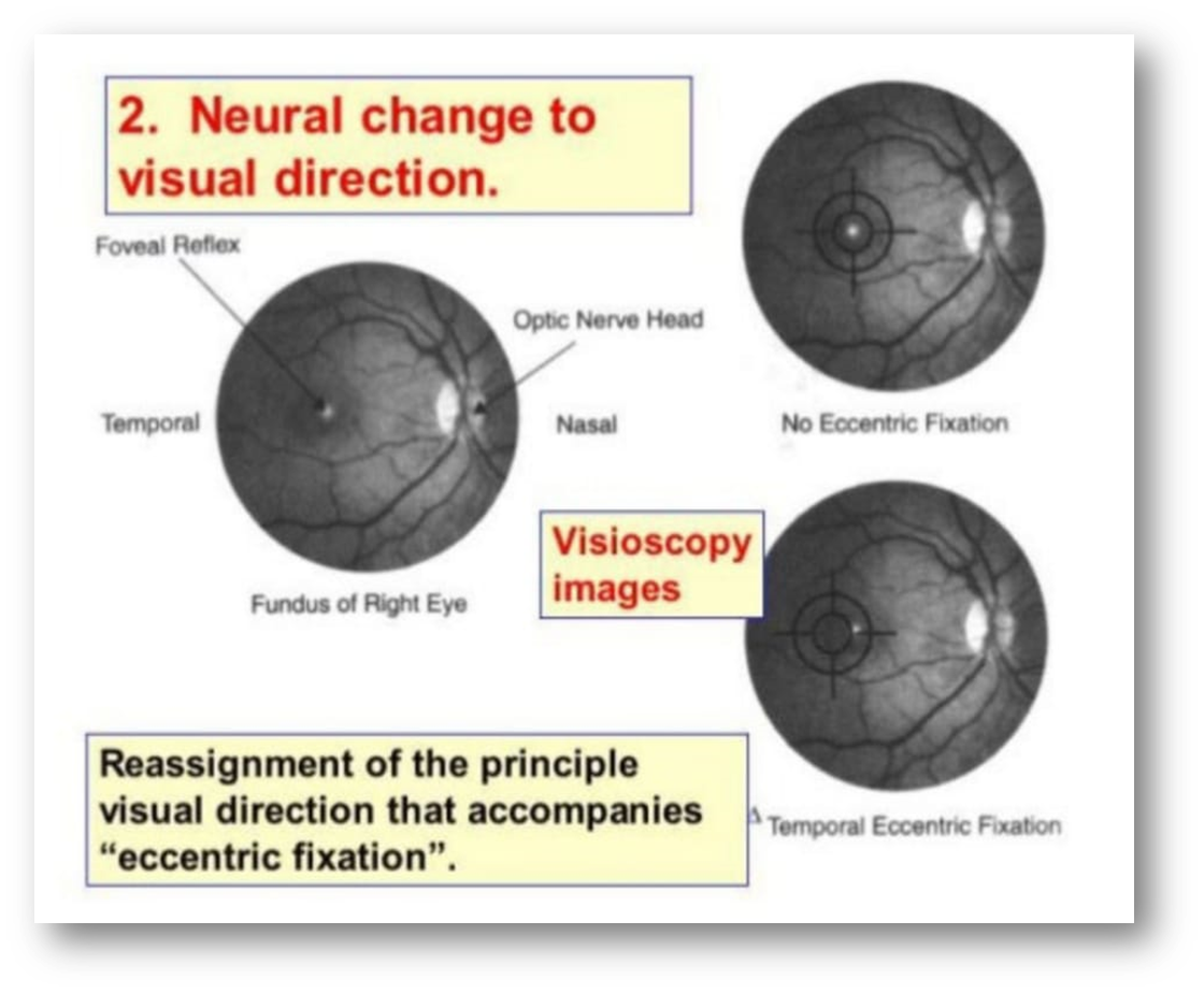 SENSORY EVALUATION - Optography