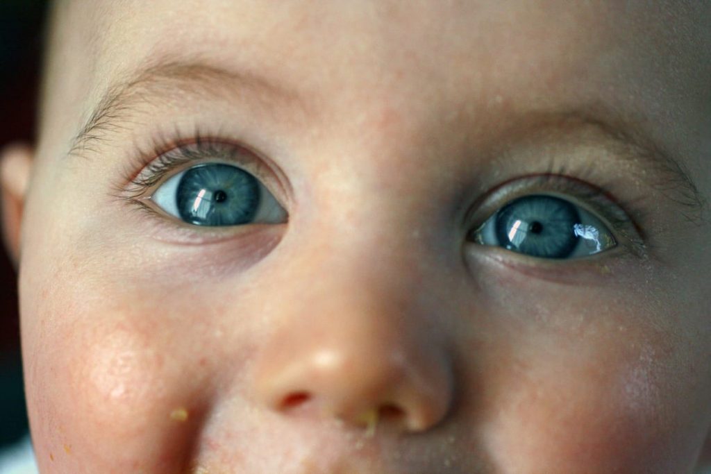 NIGHT VS DAY VISION: HOW THE CORNEA AND LENS CREATE SHARP VISION ...