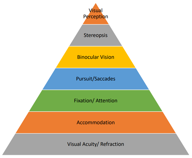 Neuro-Optometry: Vision Rehabilitation for Traumatic Brain Injury ...